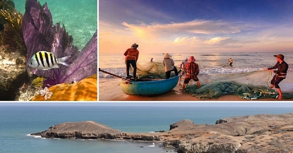 Investigadores de las universidades Tadeo y Magdalena lograron ...