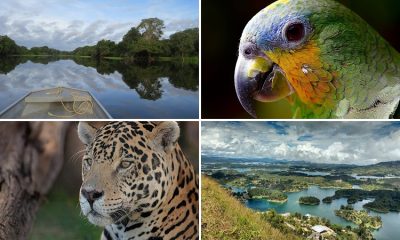 Colombia ocupa el segundo lugar en biodiversidad y es una de las más ...