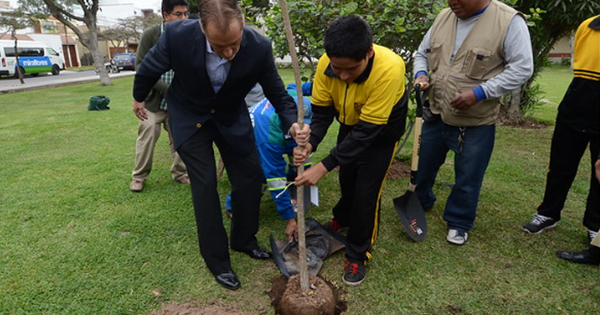 Consejos para ser una persona amigable con el medio ambiente en 2020