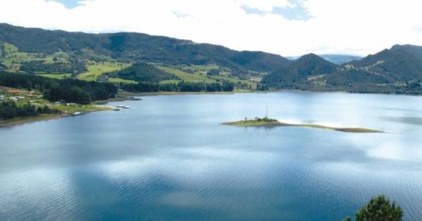 Restaurarán el Embalse del Neusa con la siembra de más de 95 mil ...