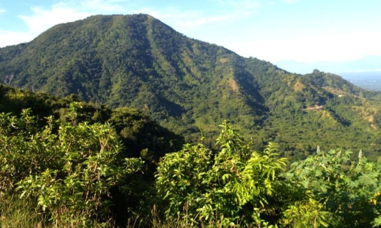 La Serranía del Perijá en La Guajira cuenta con una área protegida - La ...