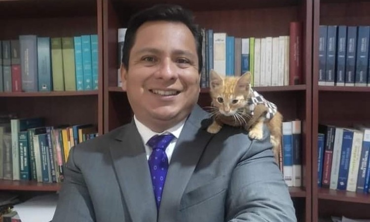 'El abogato', la tierna historia de adopción que se hizo viral - La ...