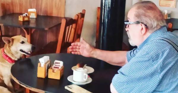 La historia de 'Corchito', el perro que acompaña a clientes que van ...