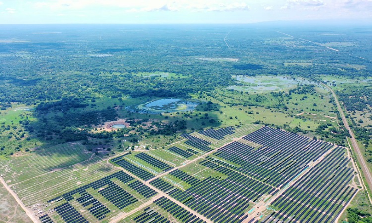 Avanza con éxito la construcción del parque solar más grande de ...