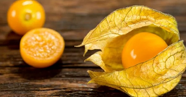 Uchuva, la fruta exótica que es exportada en más de 15 países - La Nota ...