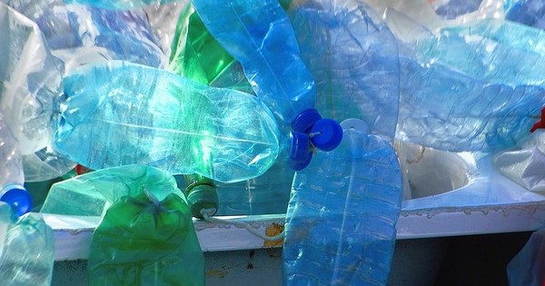 Investigadores de la UNAL crean plásticos naturales con la planta del ...