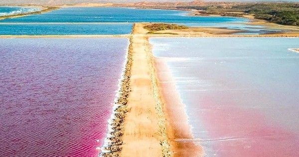 Este es el mar rosado de Colombia, una joya turística ¿Cómo llegar ...