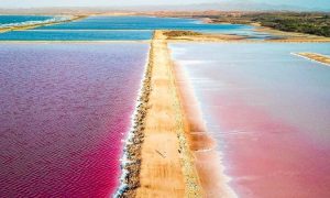 Este es el mar rosado de Colombia, una joya turística ¿Cómo llegar ...