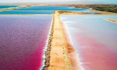 Este es el mar rosado de Colombia, una joya turística ¿Cómo llegar ...