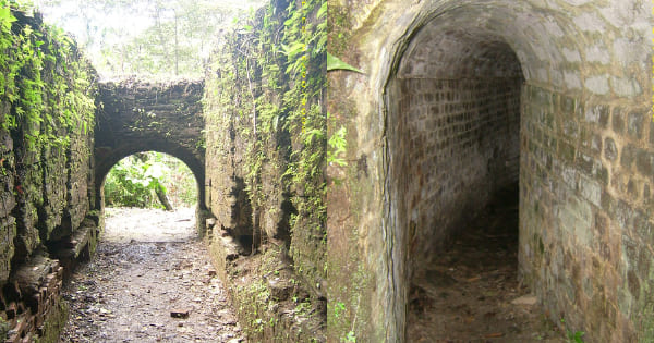 Así es la Ciudad Perdida de Falan. ¡Maravilla colombiana! - La Nota ...